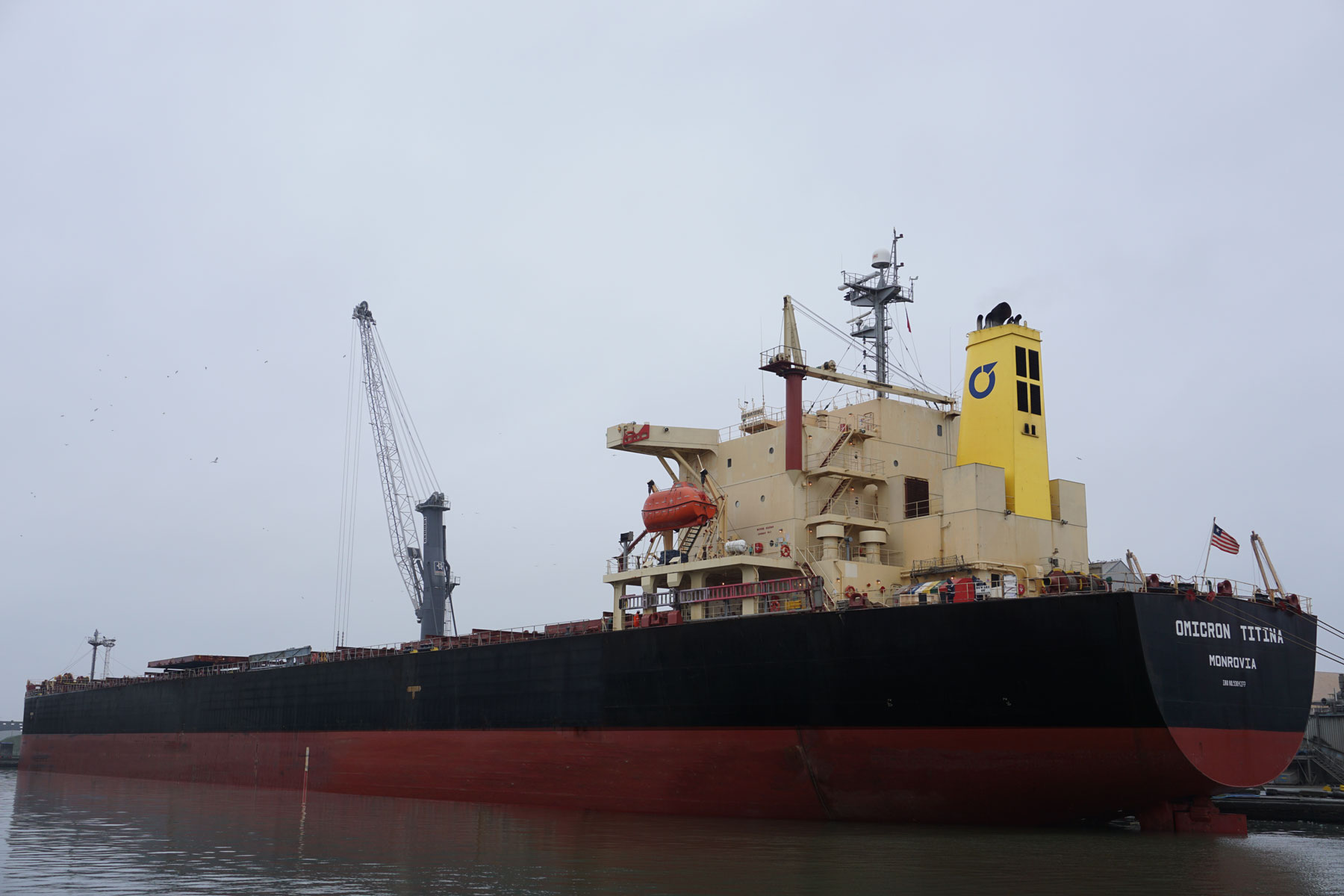 Omicron Ship Management Inc - Fleet